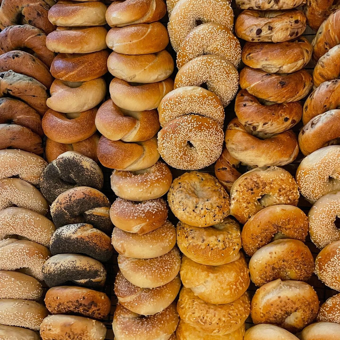 WELCOME TO BAGELGRAM NC!!! - BagelGram NC!!!