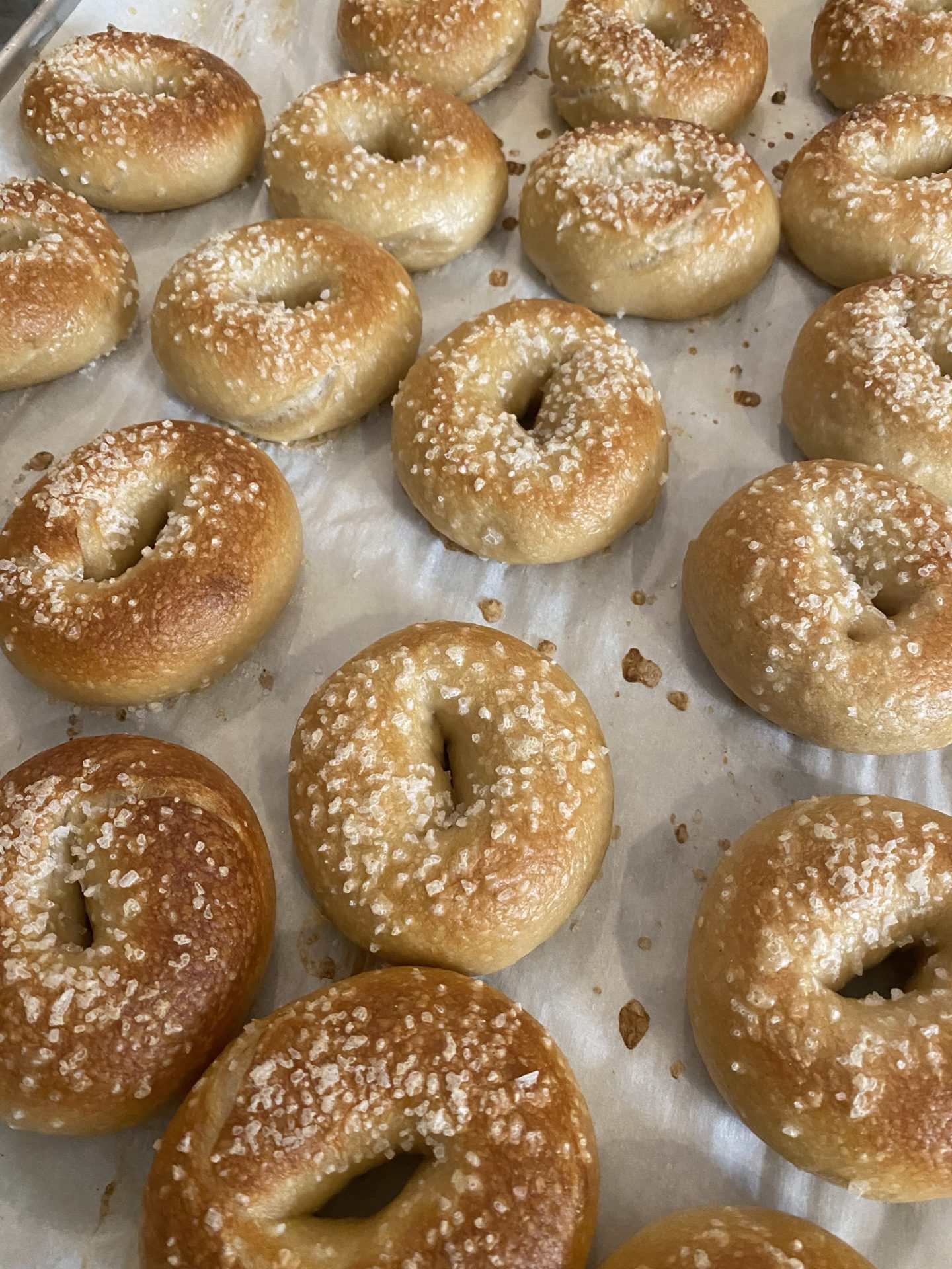 Mint Hill, NC - BagelGram NC!!!