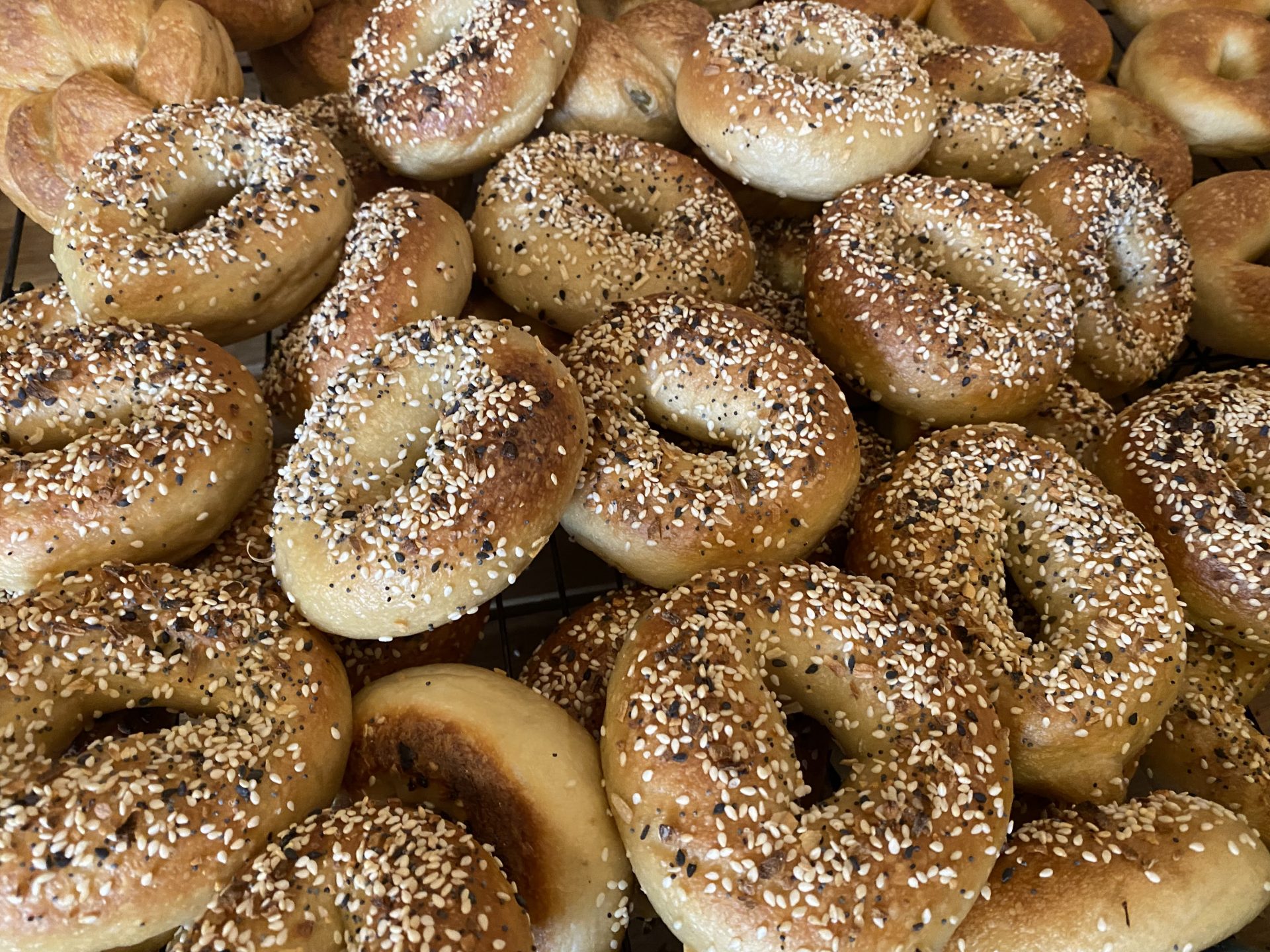 Mint Hill, NC - BagelGram NC!!!